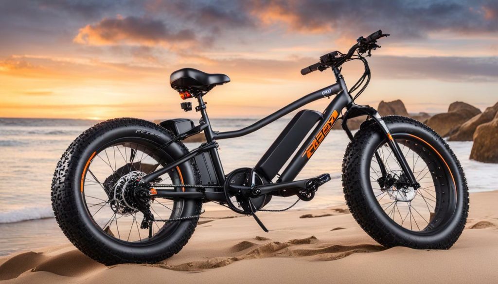 Experience the Ride with Ecotric Electric Fat Tire Beach Snow Bike ...